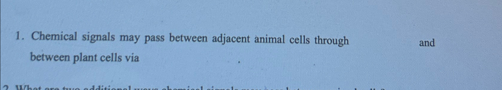 Solved Chemical signals may pass between adjacent animal | Chegg.com
