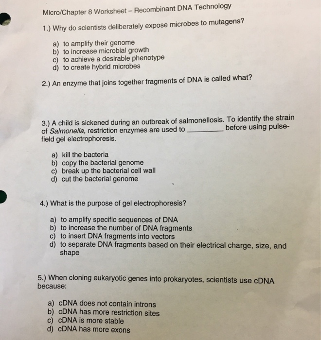 Solved Micro/Chapter 8 Worksheet - Recombinant DNA | Chegg.com