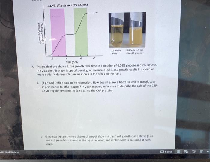Solved 7. The graph above shows E. coll growth over time in | Chegg.com