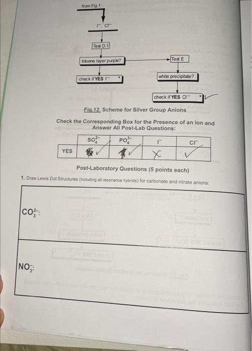 Solved Flow Diagram for Anion "QUAL" Scheme for the Unknown | Chegg.com