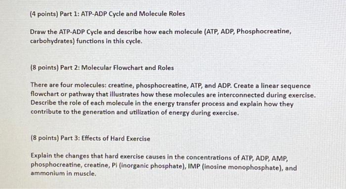 (4 points) Part 1: ATP-ADP Cycle and Molecule Roles | Chegg.com