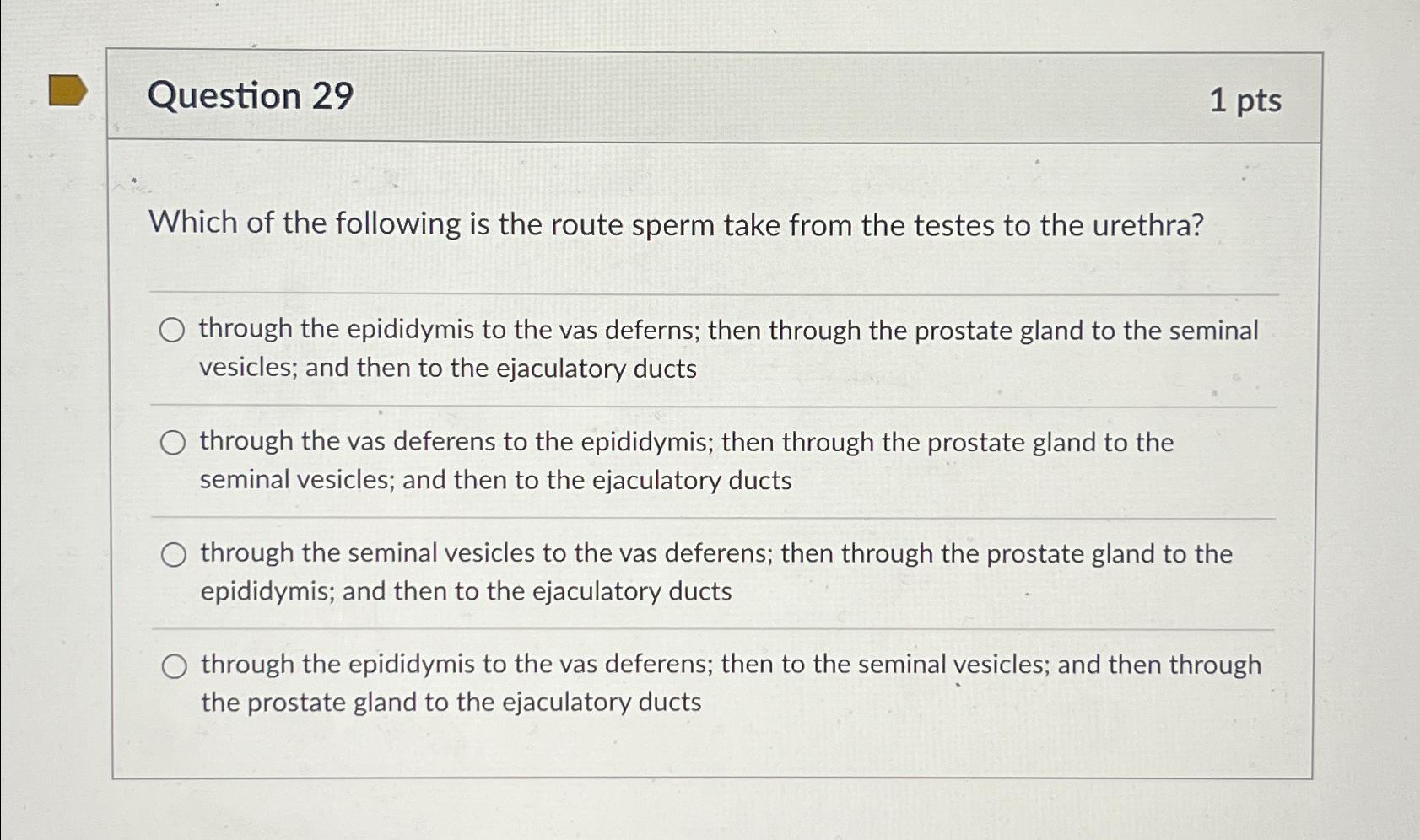 Solved Question 291 ﻿ptsWhich of the following is the route | Chegg.com