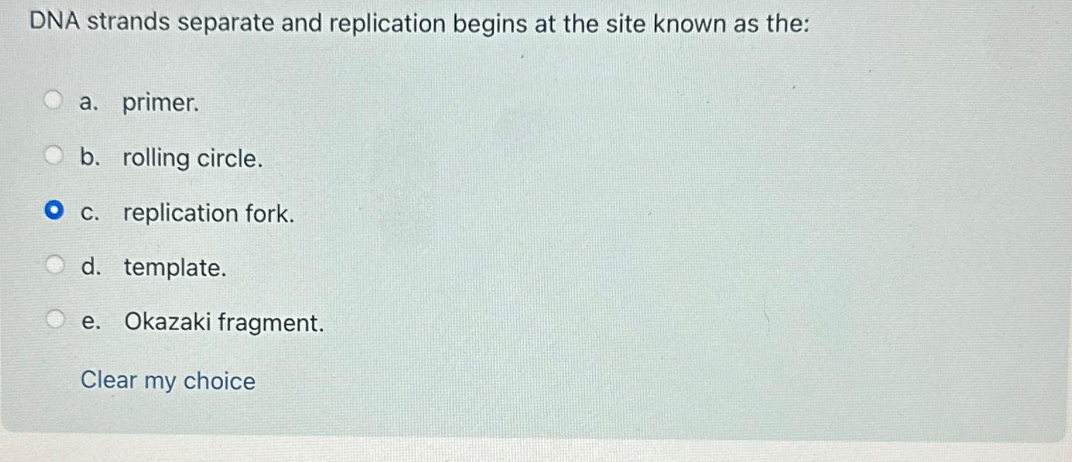 Solved DNA strands separate and replication begins at the | Chegg.com
