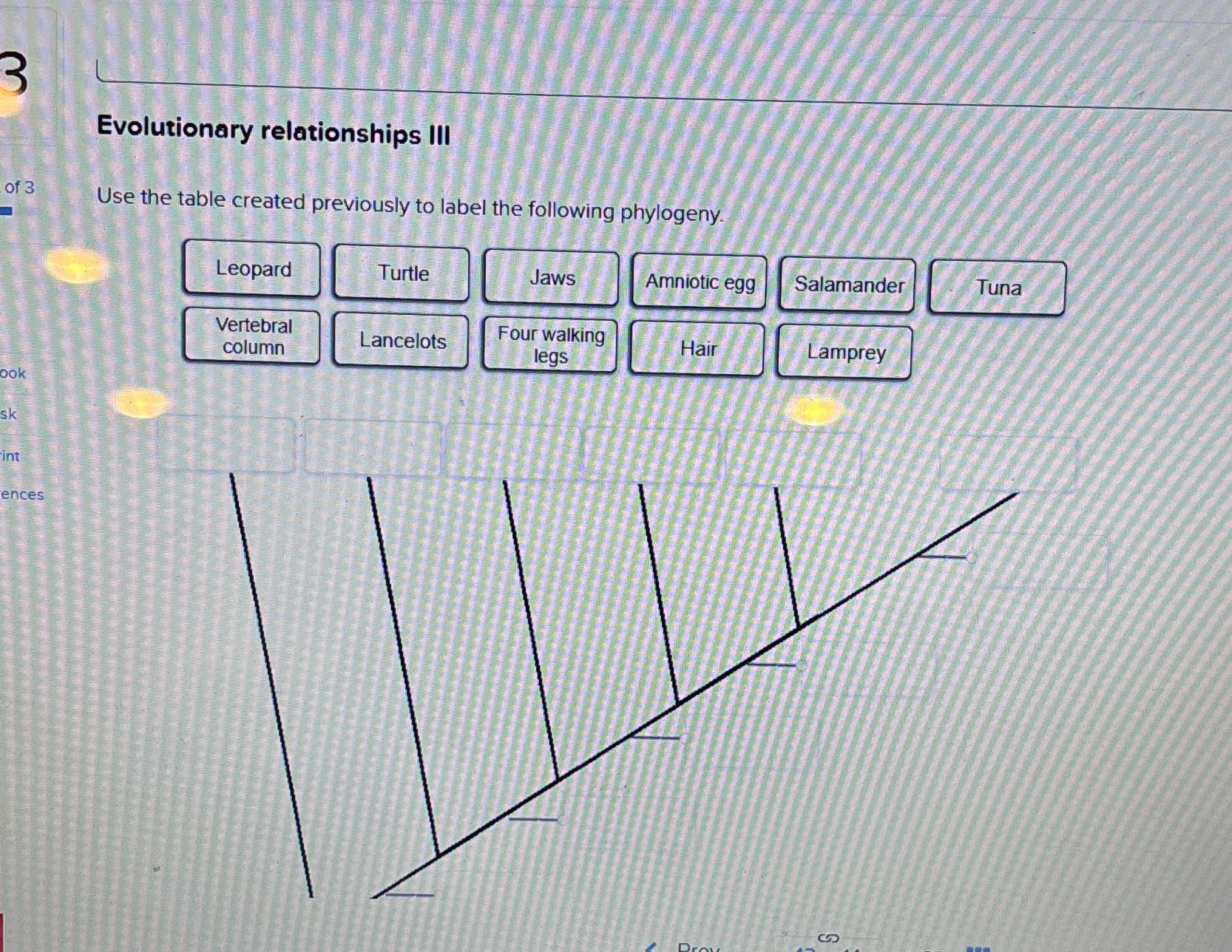 Solved Evolutionary relationships IIIUse the table created | Chegg.com
