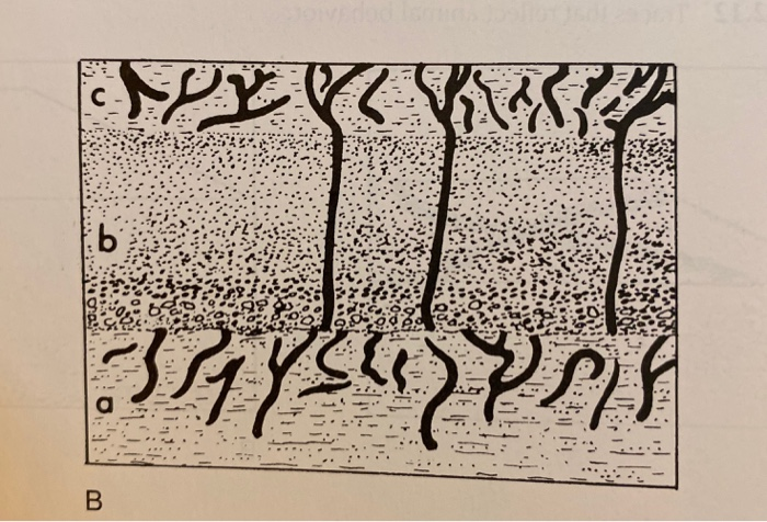 Solved 3. Section Y has a 10-cm seam of clay 70 m above the | Chegg.com