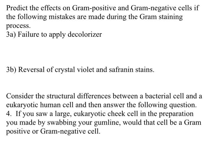 Solved Predict the effects on Gram-positive and | Chegg.com
