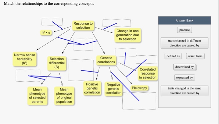 Solved Match the relationships to the corresponding | Chegg.com