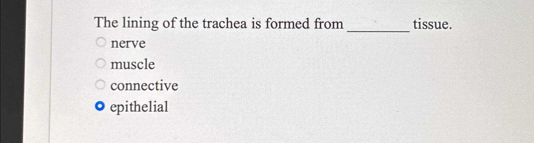 Solved The lining of the trachea is formed from | Chegg.com
