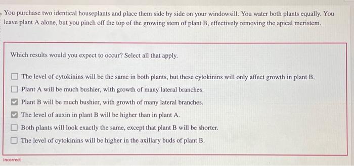 Solved You purchase two identical houseplants and place them | Chegg.com