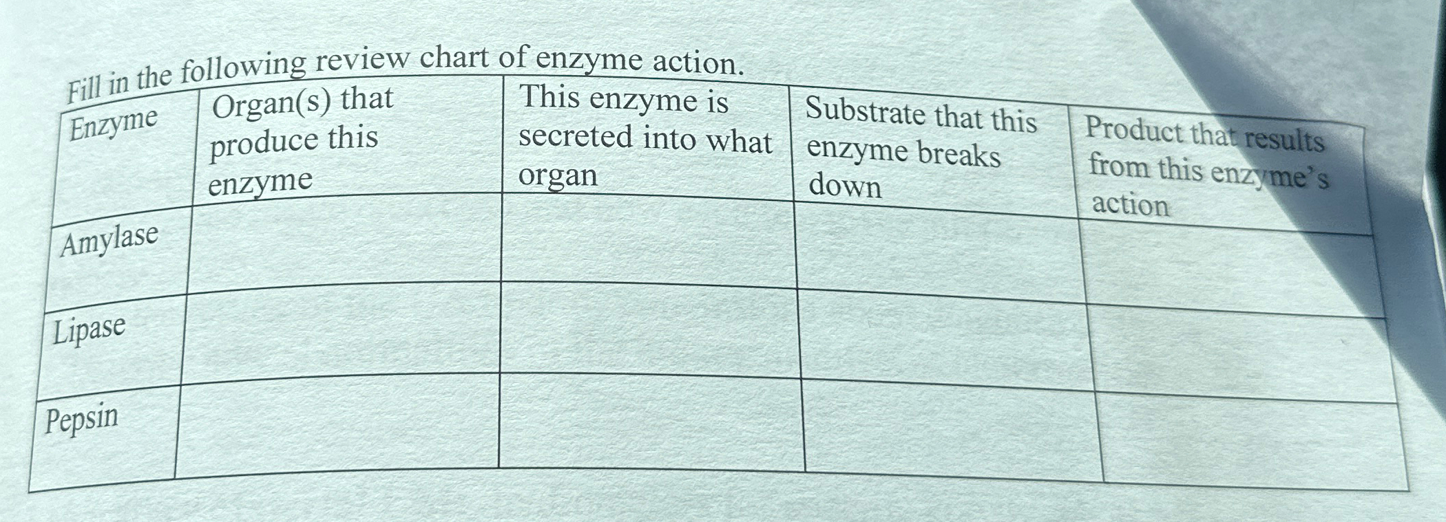 Solved Fill in the following review chart of enzyme action. | Chegg.com
