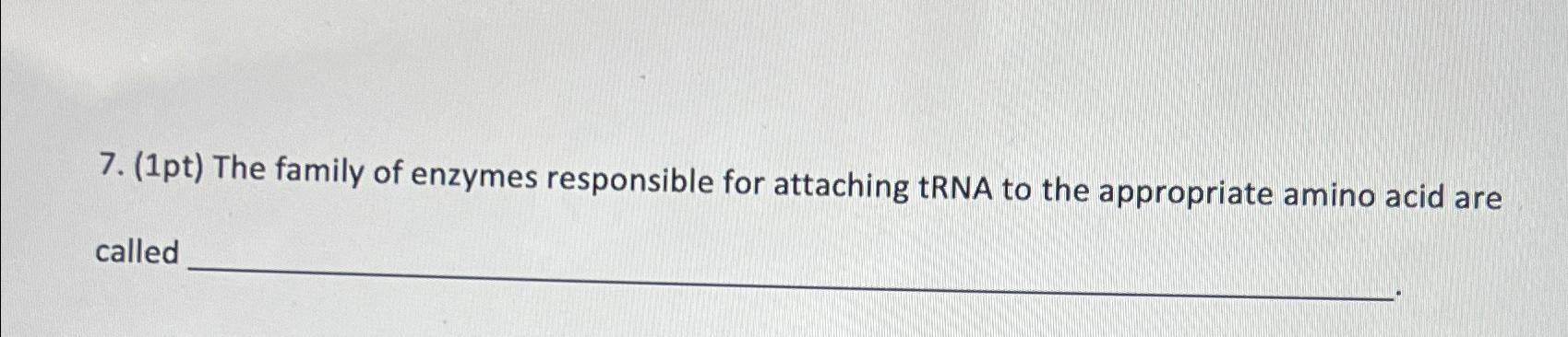 Solved (1pt) ﻿The family of enzymes responsible for | Chegg.com