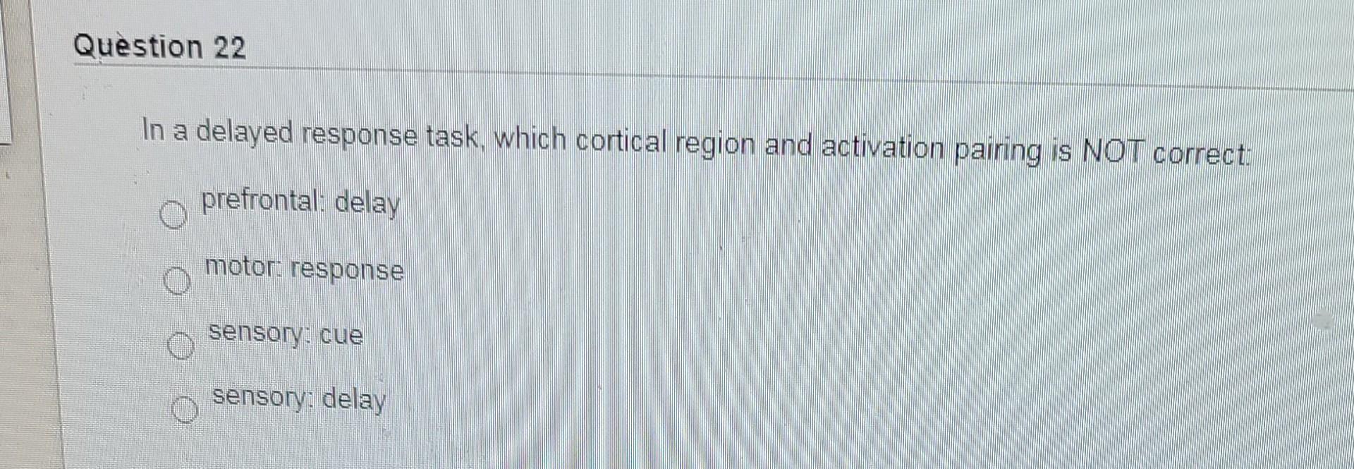 Solved Question 22 In a delayed response task, which | Chegg.com