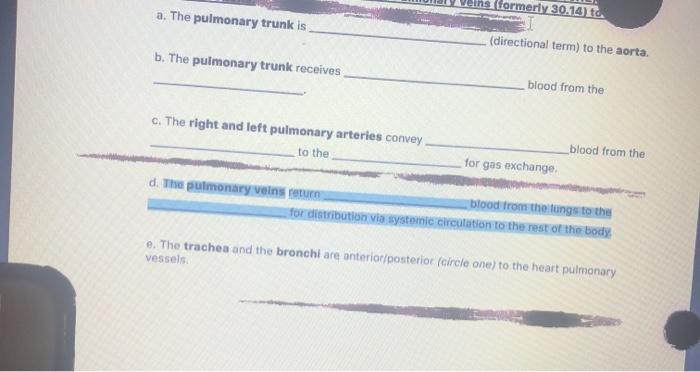 Solved (formerly 30.14) to a. The pulmonary trunk is | Chegg.com