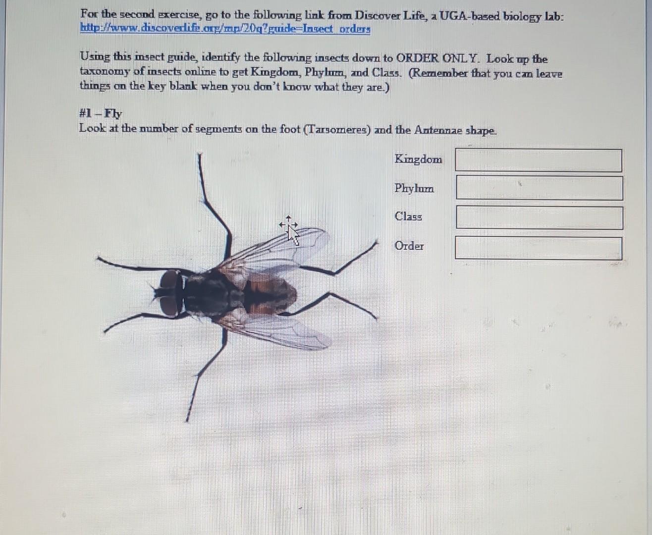 Solved For the second exercise, go to the following link | Chegg.com