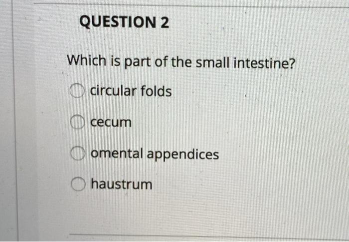 Solved QUESTION 2 Which is part of the small intestine? | Chegg.com