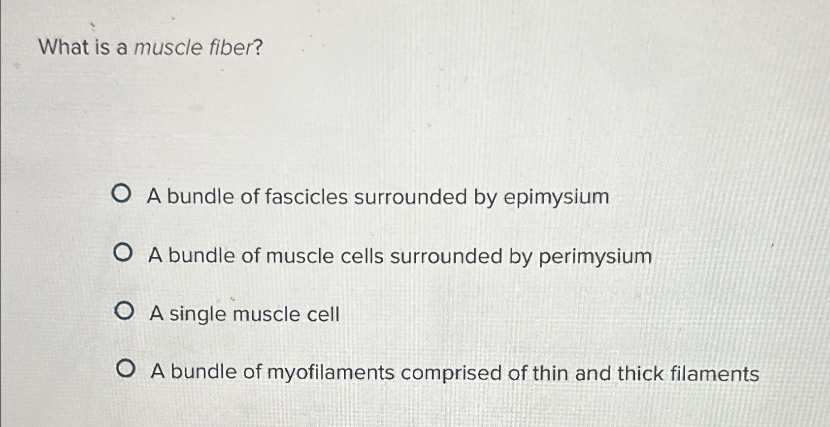 Solved What is a muscle fiber?A bundle of fascicles | Chegg.com