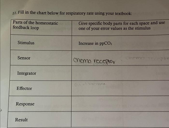 Solved 11. Fill in the chart below for respiratory rate | Chegg.com