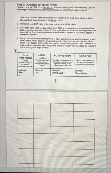 Part 2: Decoding a Protein Pizza Choose one of the | Chegg.com
