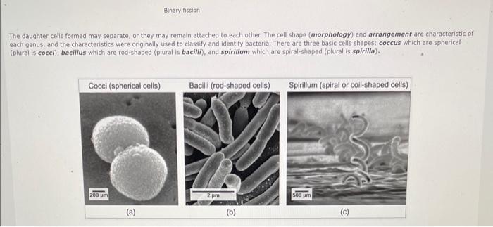 Solved Introduction: Connecting Your Learning Lab 3 | Chegg.com