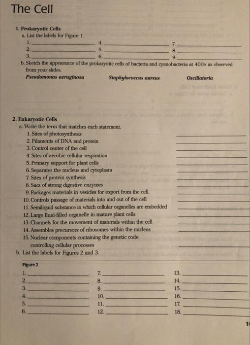 98 EXERCISE The Cell FIGURT 3 Uitrastructure of a | Chegg.com