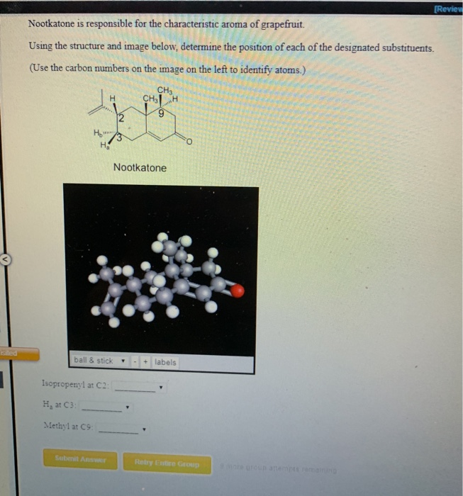 Solved Review Nootkatone is responsible for the | Chegg.com