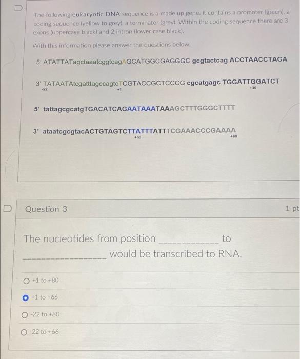 Solved U The following eukaryotic DNA sequence is a made up | Chegg.com