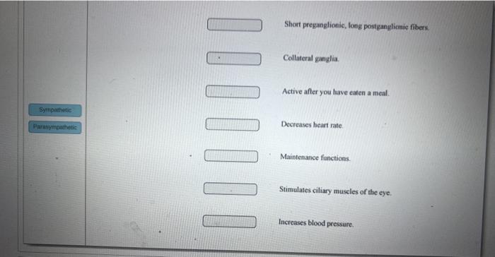 Solved Short preganglionic, long postganglionic fibers, | Chegg.com