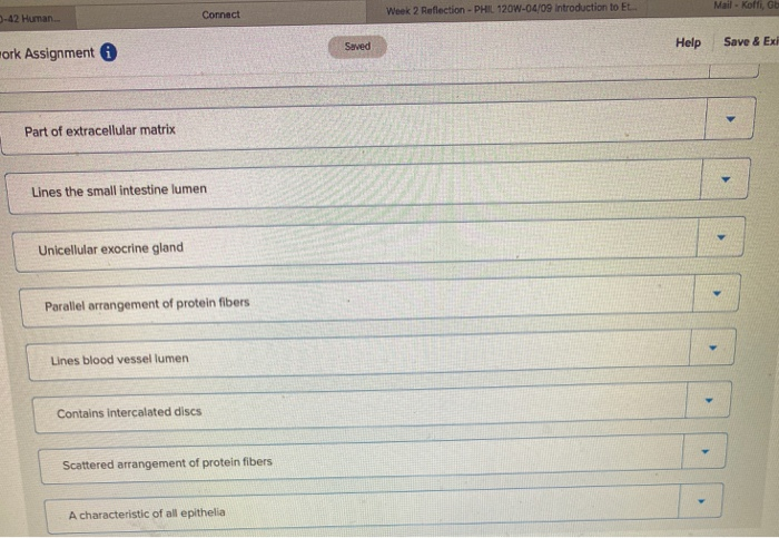 Solved Match each numbered item with the most closely | Chegg.com