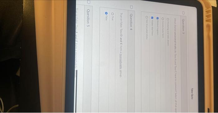 Question?2 Question 4 Than | Chegg.com