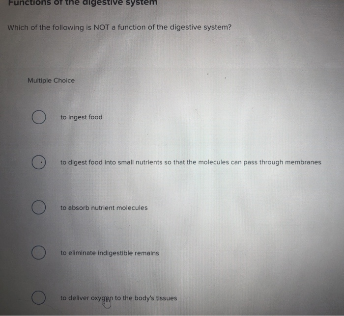 Solved Functions of the digestive system Which of the | Chegg.com