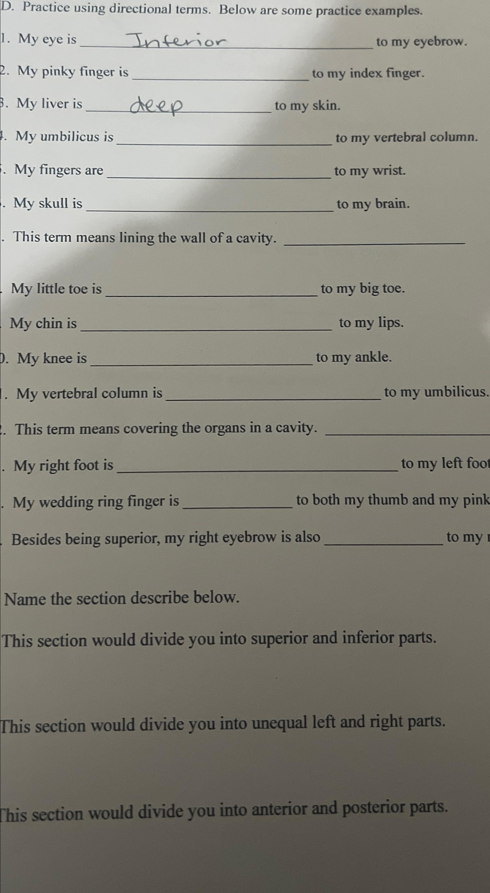 Solved D. ﻿Practice using directional terms. Below are some | Chegg.com