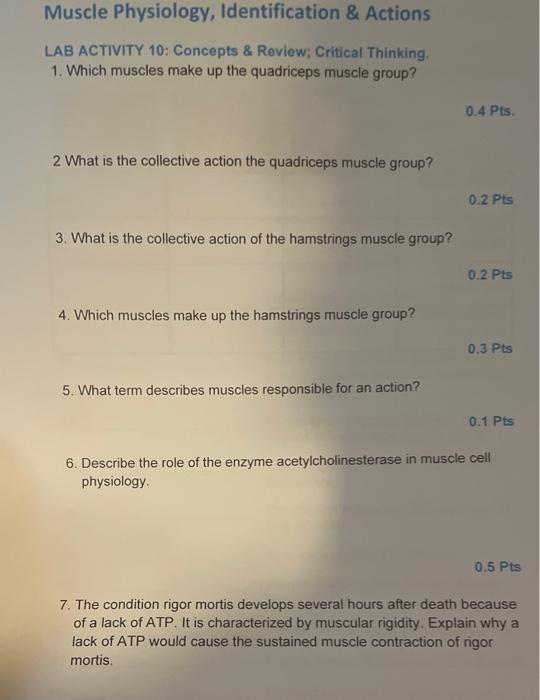 Solved Muscle Physiology, Identification \& Actions LAB | Chegg.com