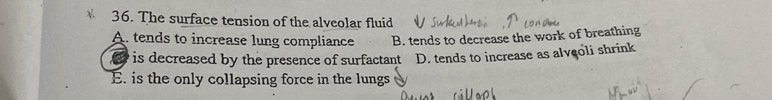 Solved The surface tension of the alveolar fluid A. ﻿tends | Chegg.com