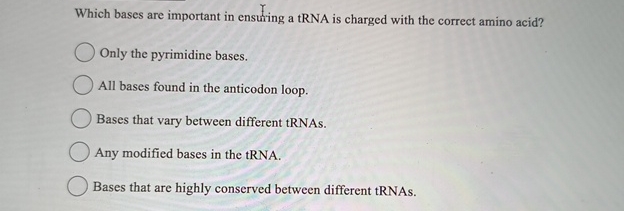 Solved Which bases are important in ensuring a tRNA is | Chegg.com
