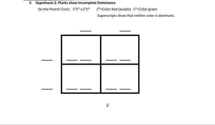 Solved 5. Hypothesis 2: Plants show Incomplete Dominance Do | Chegg.com