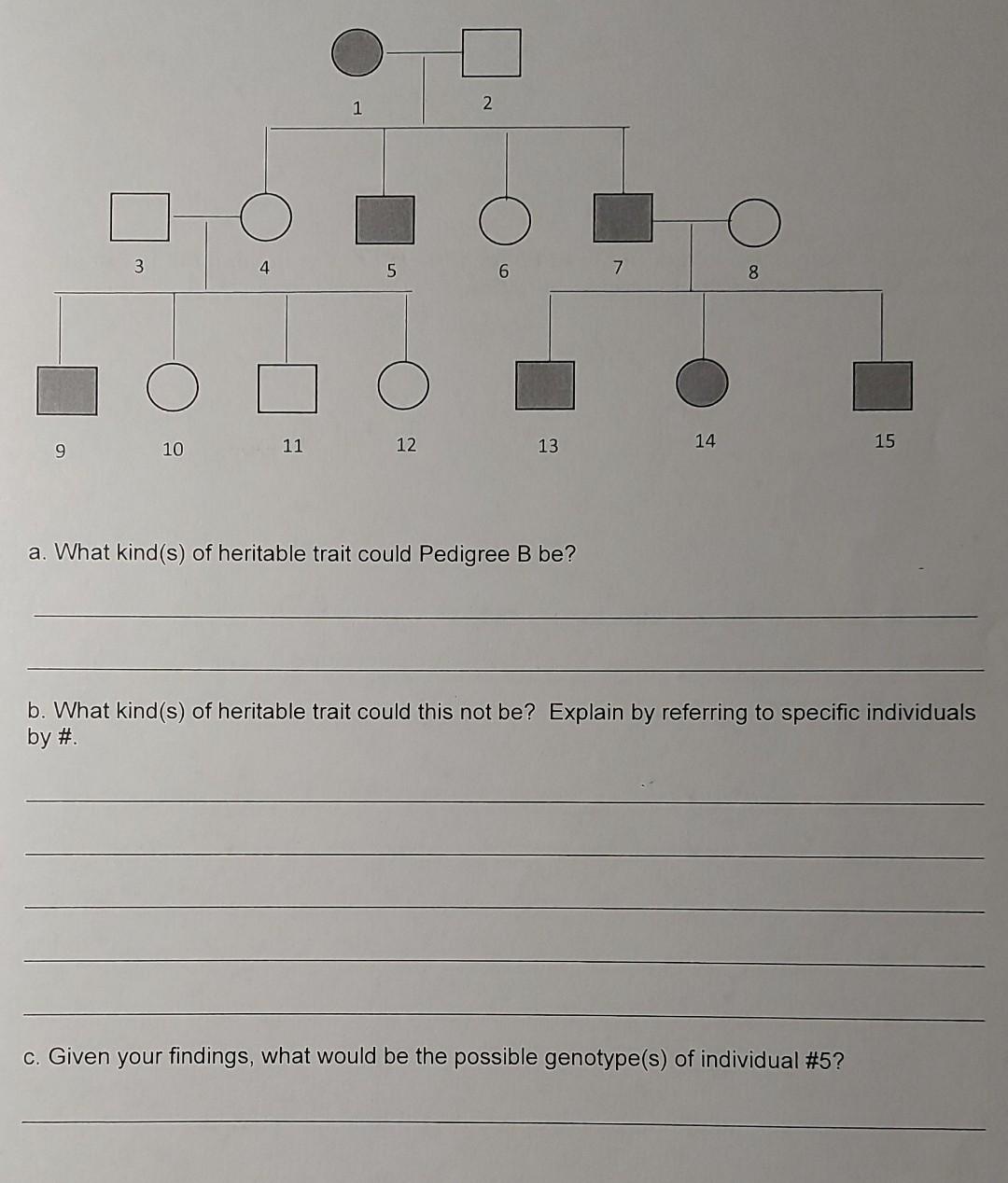Solved a. What kind(s) of heritable trait could Pedigree B | Chegg.com