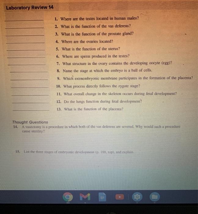 Solved Laboratory Review 14 1. Where are the testes located | Chegg.com