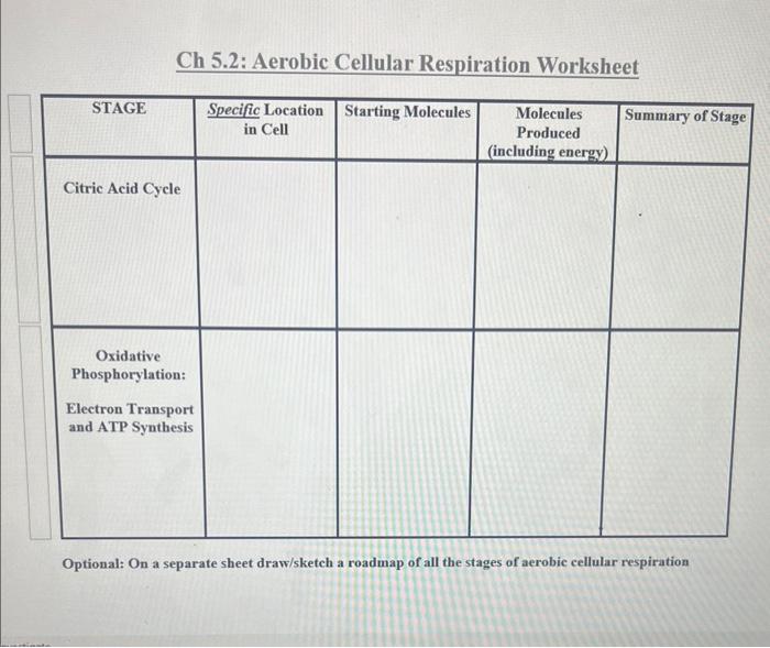 Ch 5.2: Aerobic Cellular Respiration Worksheet Ch | Chegg.com Ch 5.2: Aerobic Cellular Respiration Worksheet Ch | Chegg.com