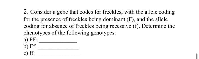 Solved 2. Consider a gene that codes for freckles, with the | Chegg.com
