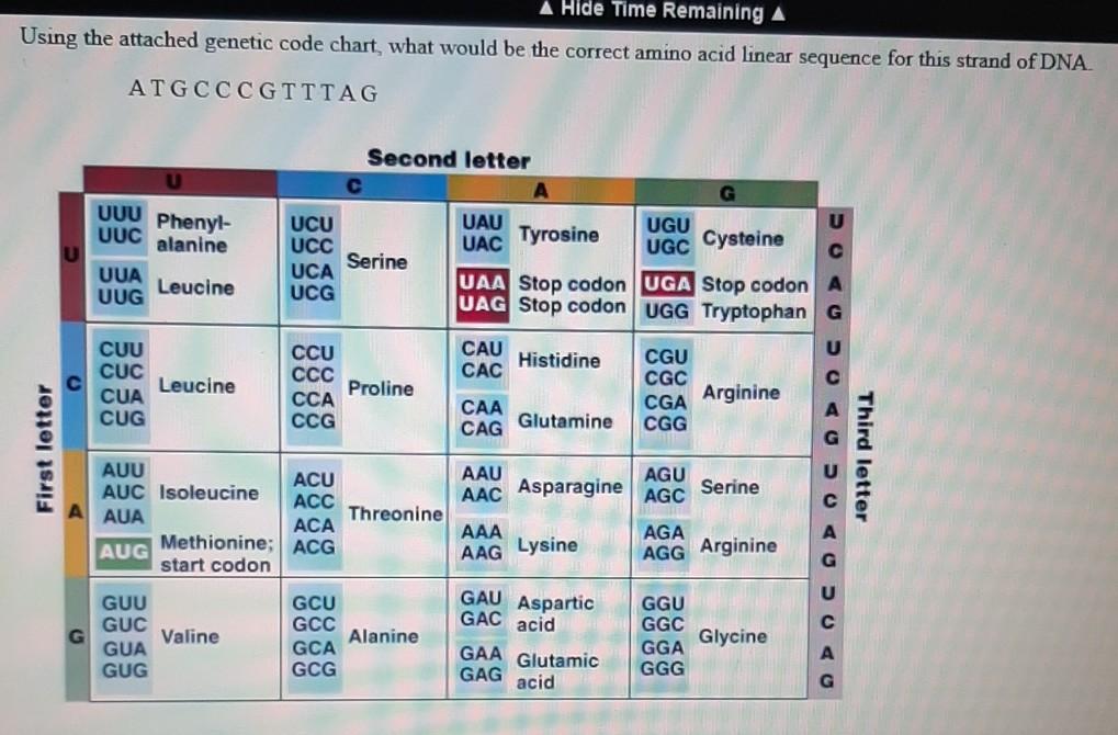 Solved A Hide Time Remaining A Using the attached genetic | Chegg.com