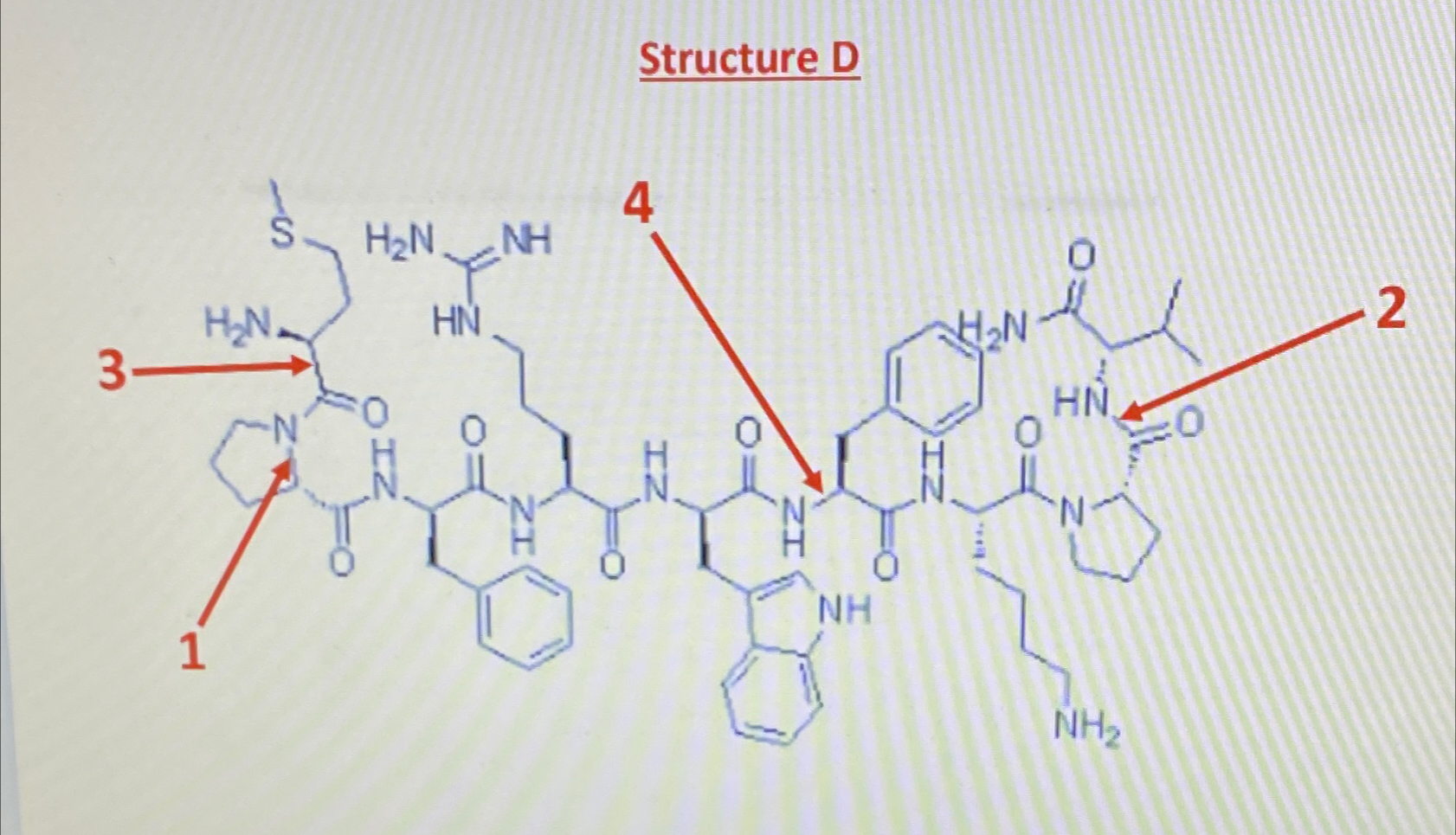 Look up for the peptides in section III of your | Chegg.com