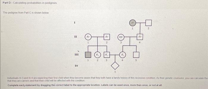 Solved The pedigree from part C is shown belowindividuals | Chegg.com