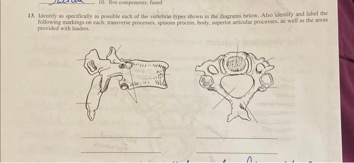 Solved 13. Identify as specifically as possible each of the | Chegg.com