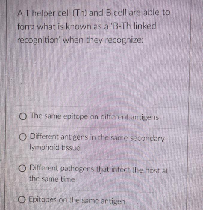 Solved AT helper cell (Th) and B cell are able to form what | Chegg.com
