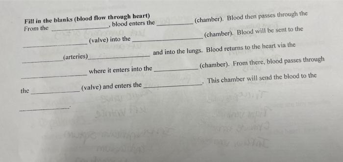 Solved Fill in the blanks (blood flow through heart) From | Chegg.com