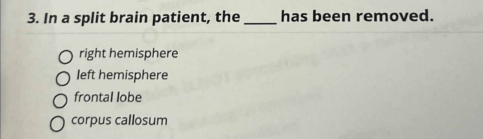 Solved In a split brain patient, the has been removed.right | Chegg.com