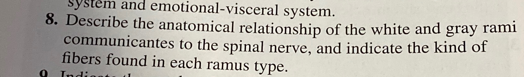 Solved Describe the anatomical relationship of the white and | Chegg.com