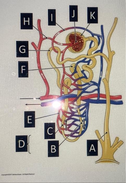 Solved identify structures | Chegg.com