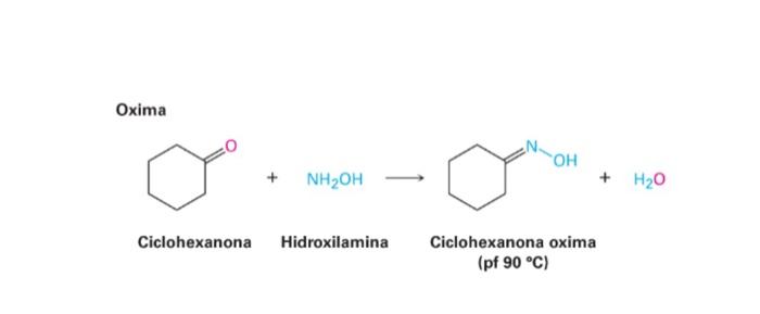 Solved Oxima +NH2OH Ciclohexanona Hidroxilamina | Chegg.com