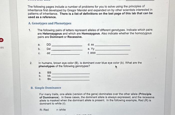 Solved 18 ces The following pages include a number of | Chegg.com